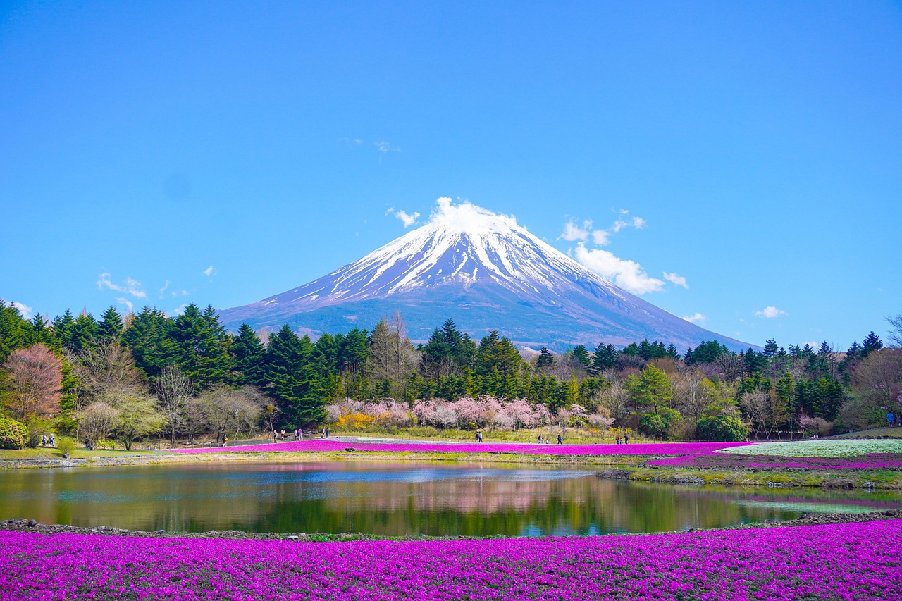 15 Must-Do Things in Tokyo: Plan Your Unforgettable Trip - Exploreve