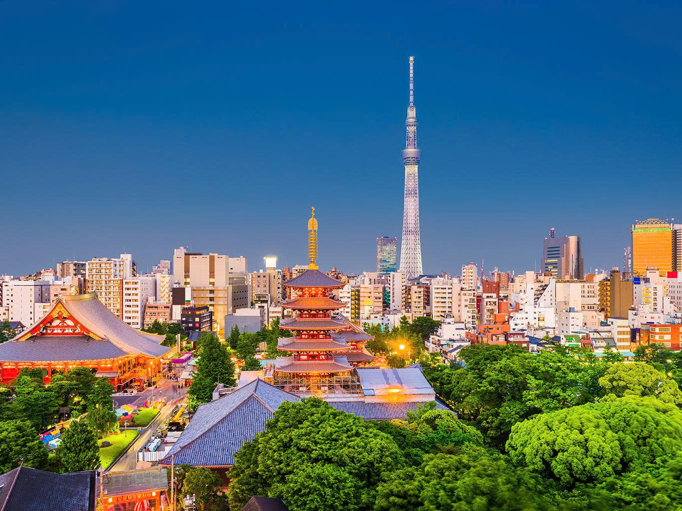 15 Must-Do Things in Tokyo: Plan Your Unforgettable Trip - Exploreve