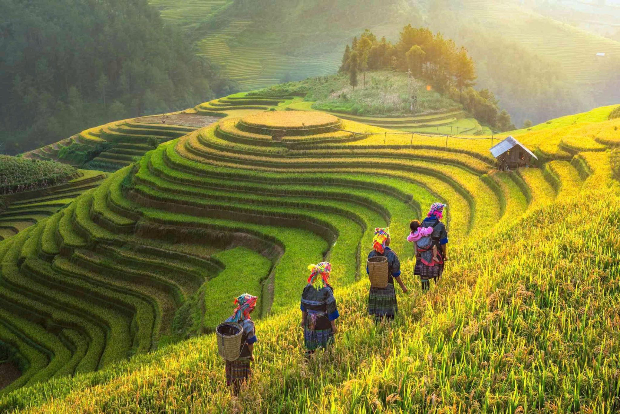 The Best Homestays in Sapa Vietnam